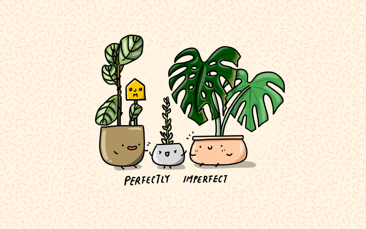 Plant Positivity | Plants Make Everyday a Good Day - JOMO Studio